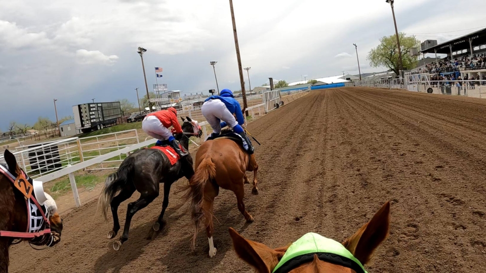 Horse Races – Miles City Hotel & Suites